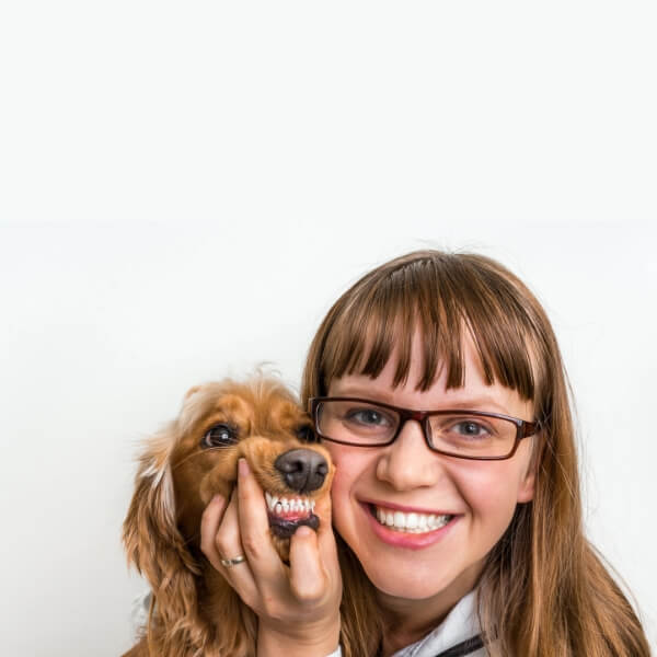 Maintaining Dental Hygiene – The Angels Pet Store