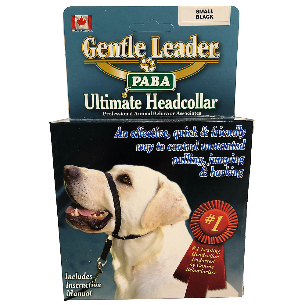 PABA Gentle Leader Headcollar – The Angels Pet Store